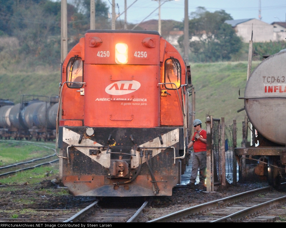 ALL 4250 (G12) in Araucaria August 2010